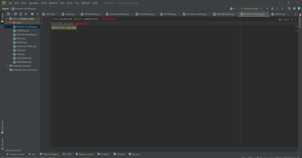 Selenium Python Invoke Chrome Browser And Load Site To Automate
