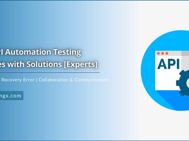 Custom Web Application Development Company in India - DS